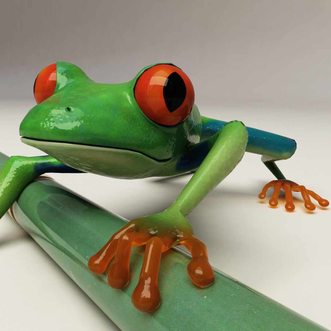 3d red eyed tree frog