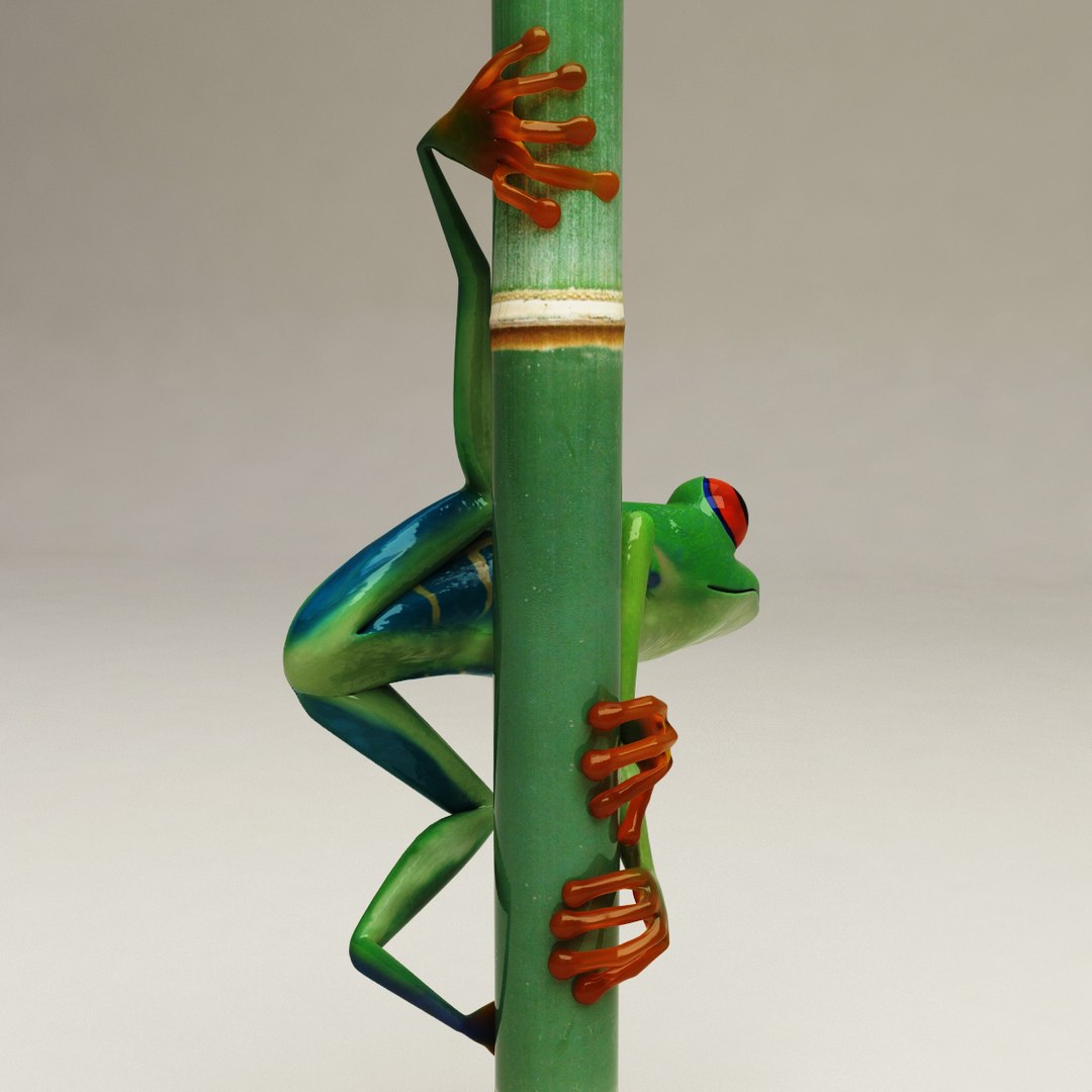 3d red eyed tree frog