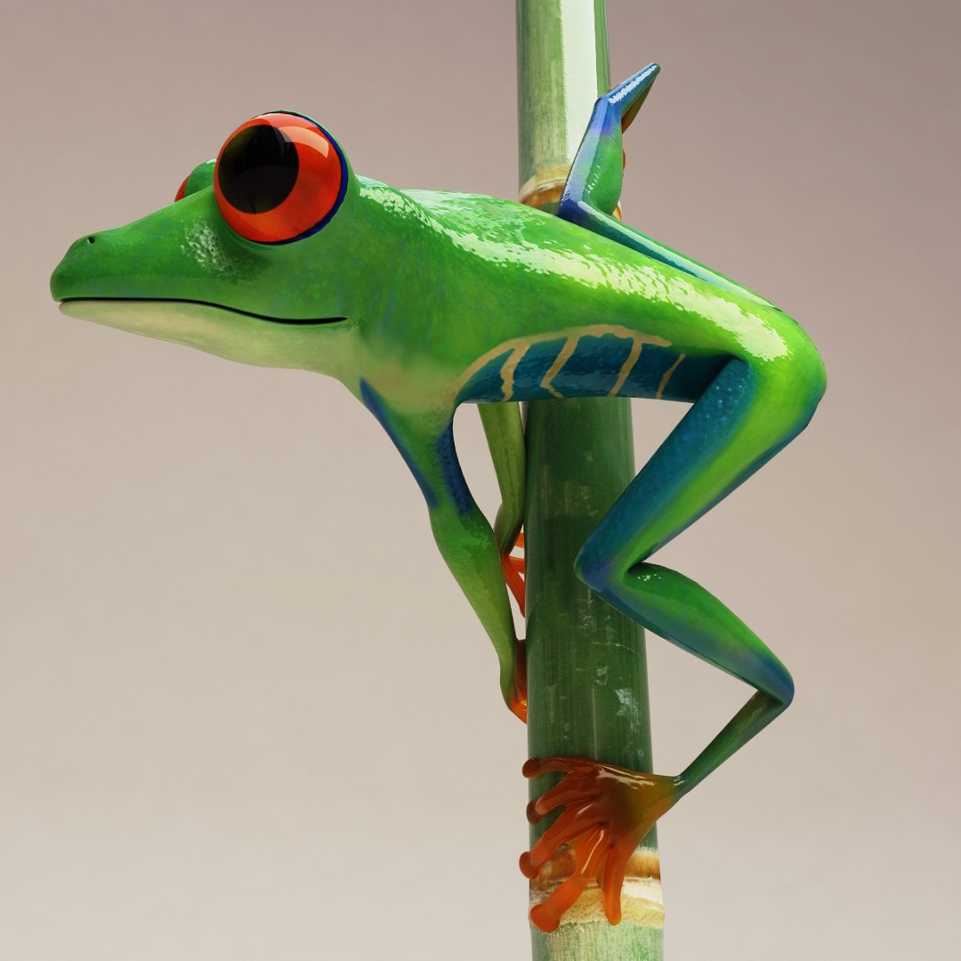 3d Red Eyed Tree Frog