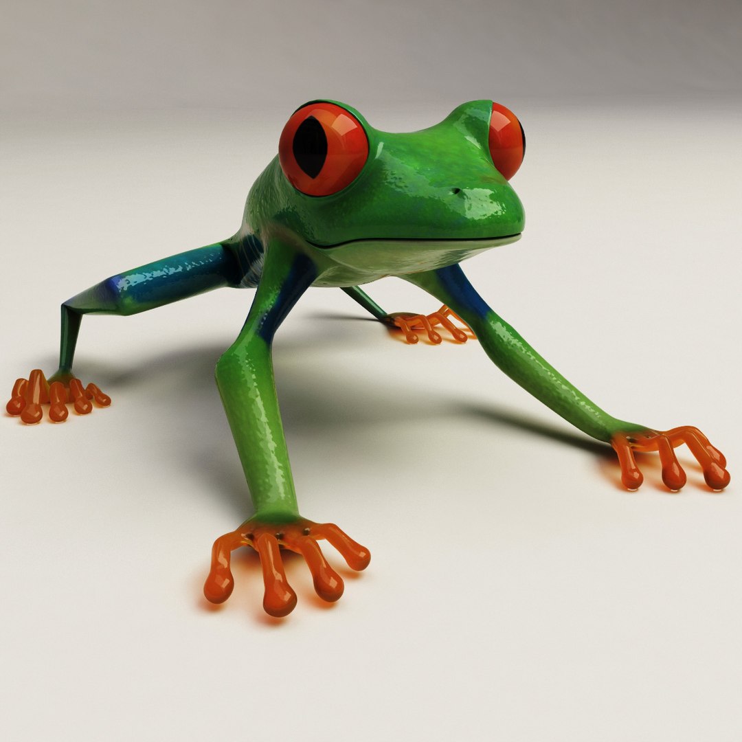 3d red eyed tree frog