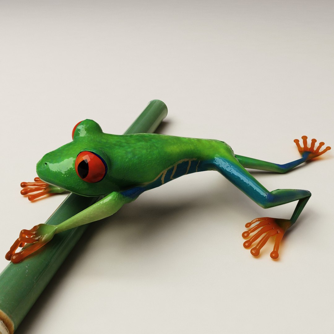3d red eyed tree frog