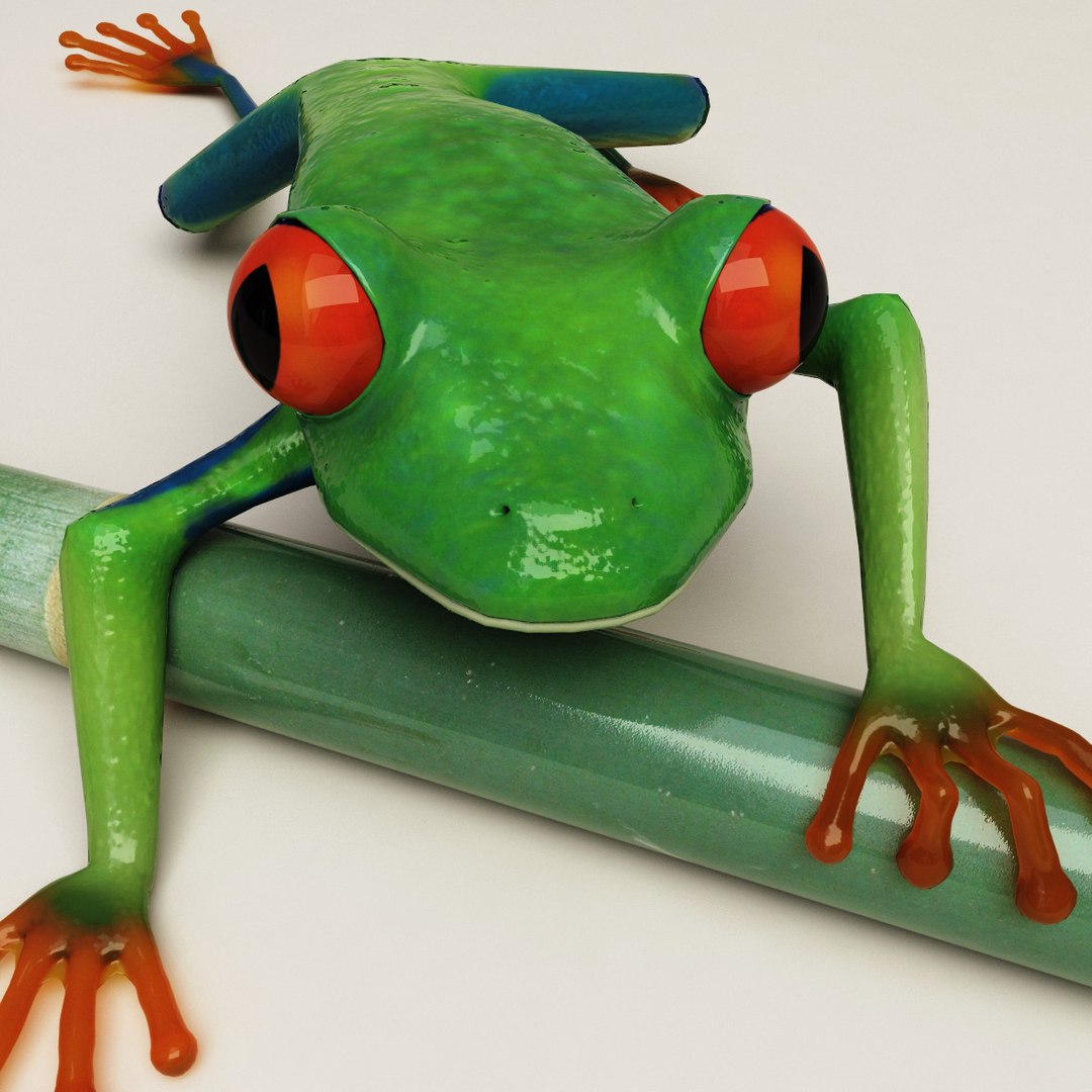 3d red eyed tree frog