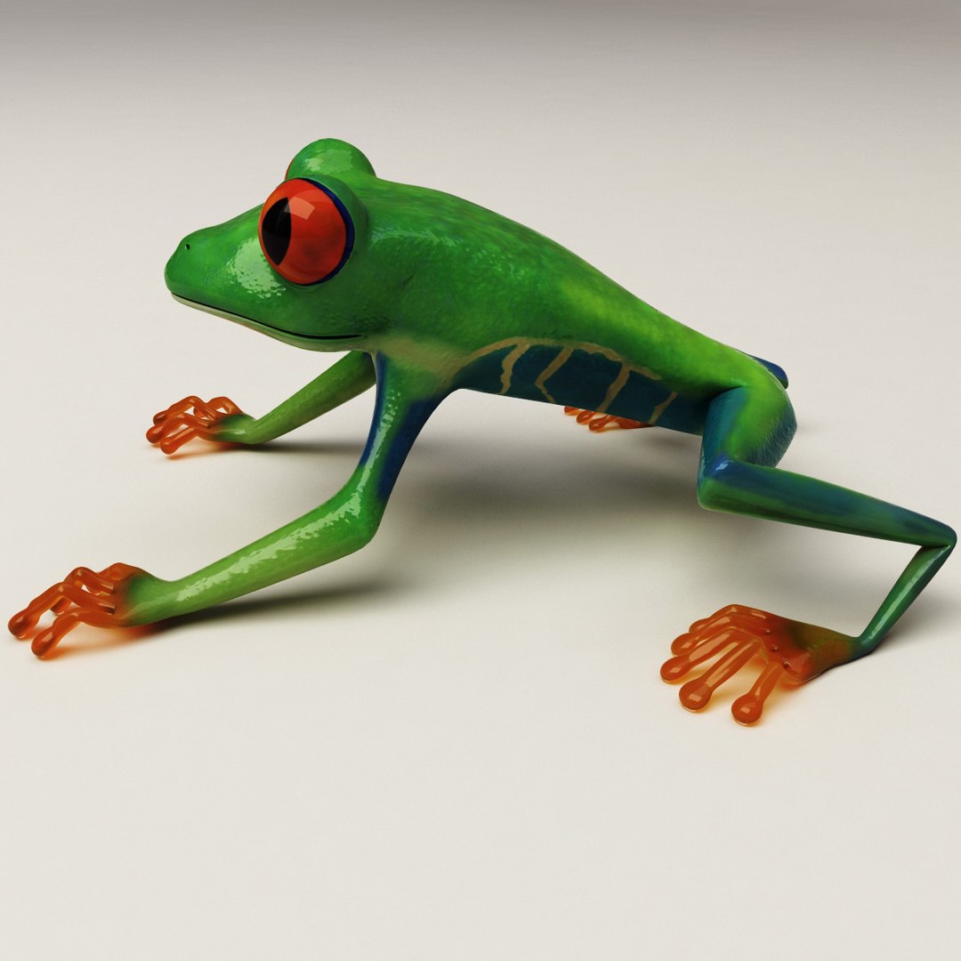 3d red eyed tree frog