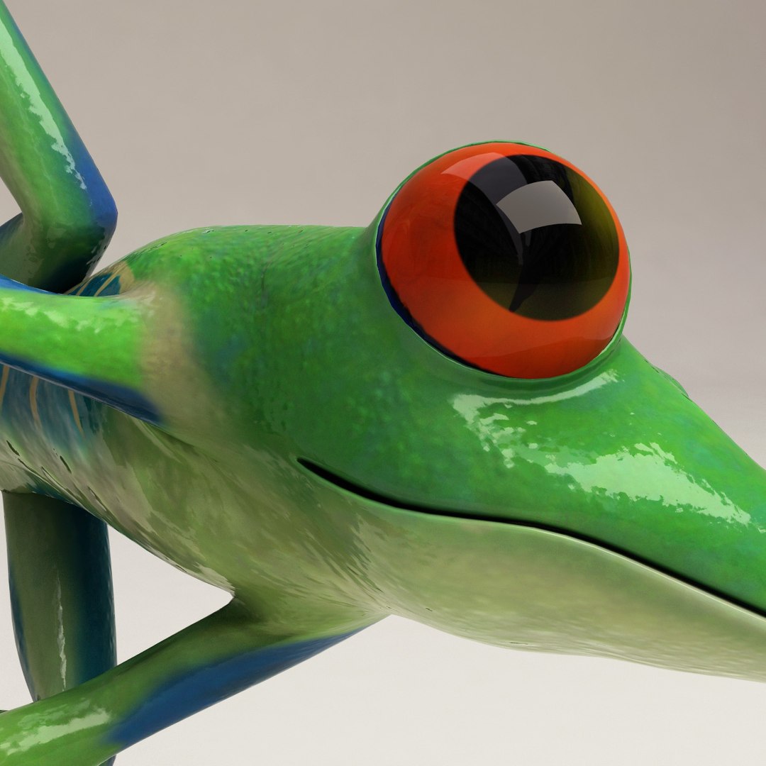 3d red eyed tree frog