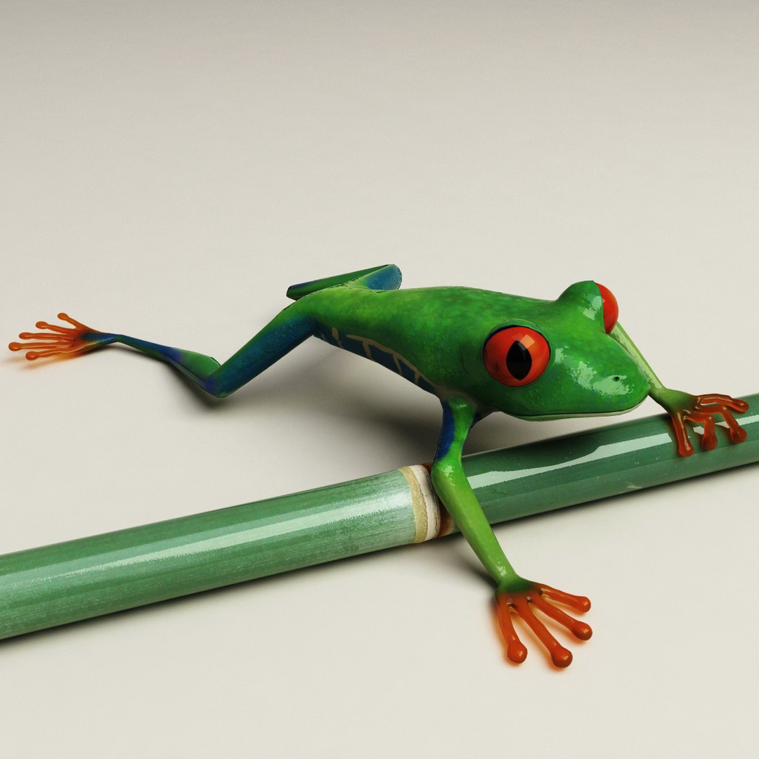 3d red eyed tree frog