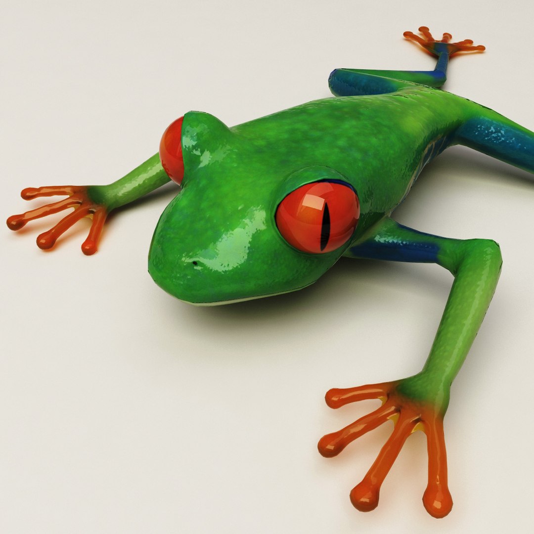3d red eyed tree frog