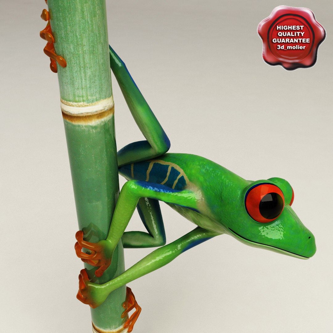 3d Red Eyed Tree Frog