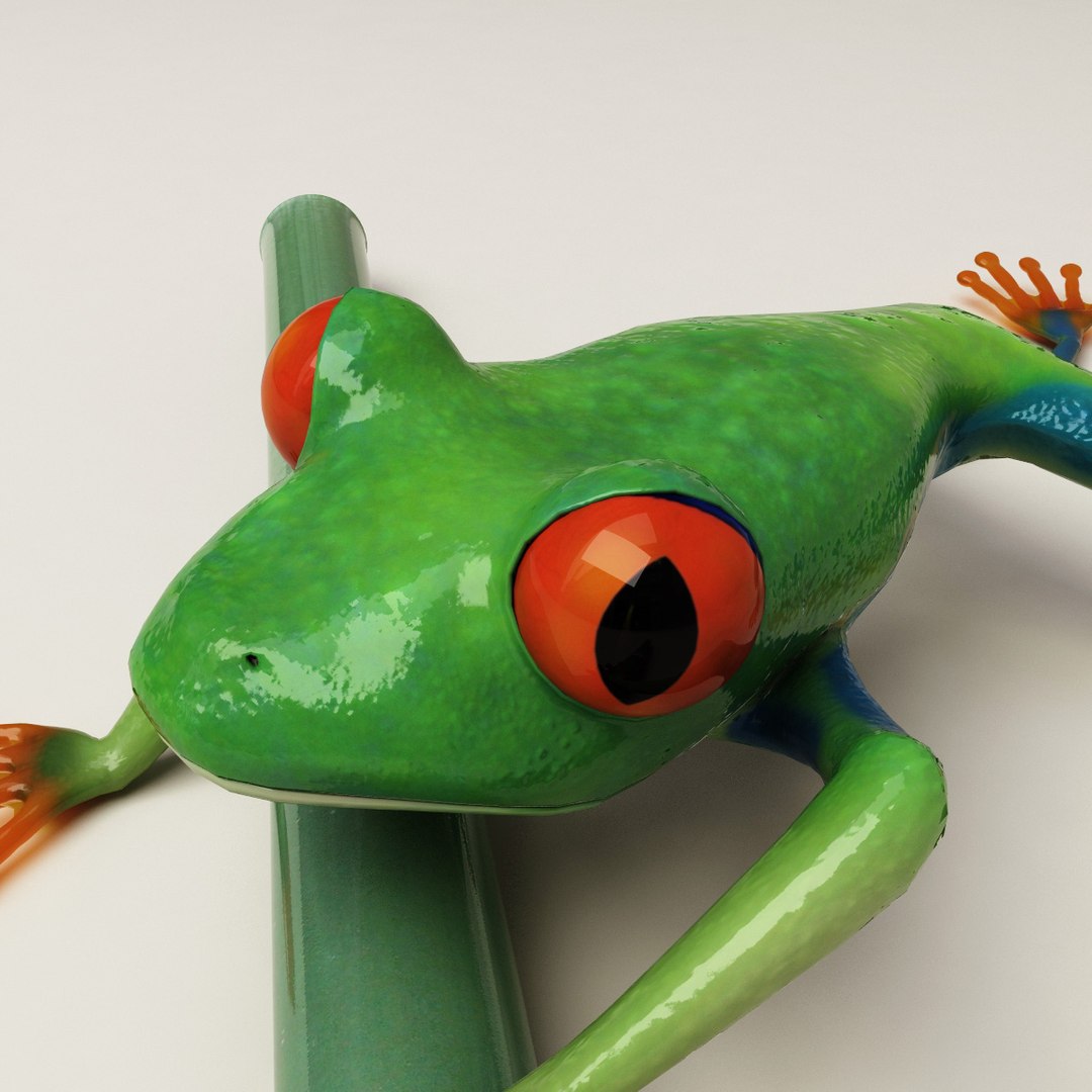 3d red eyed tree frog