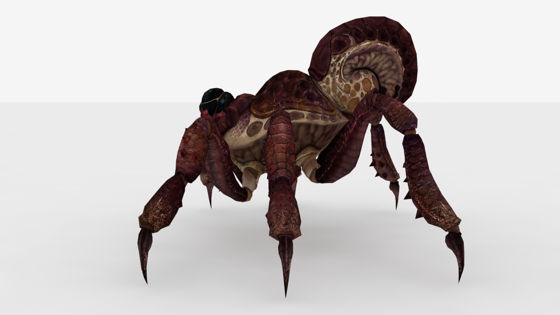 3d Spider Model - TurboSquid 1845137