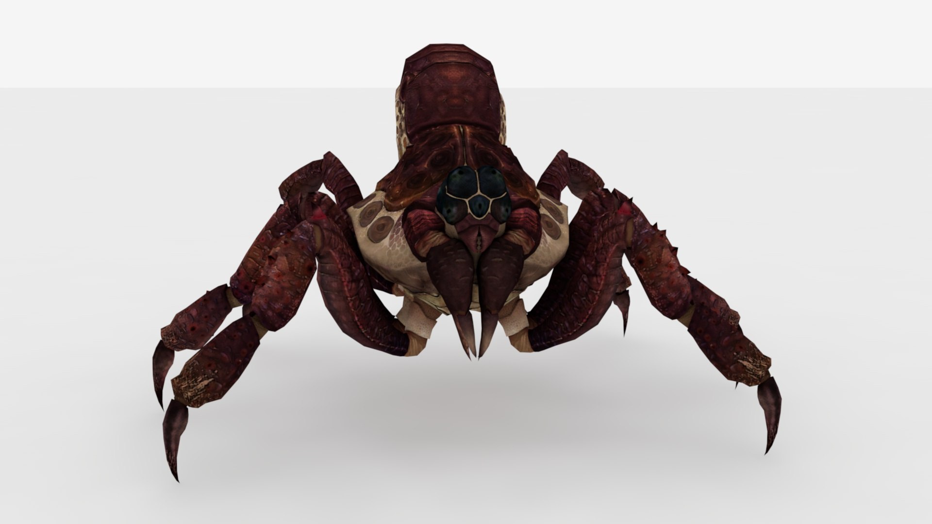 3d Spider Model - TurboSquid 1845137