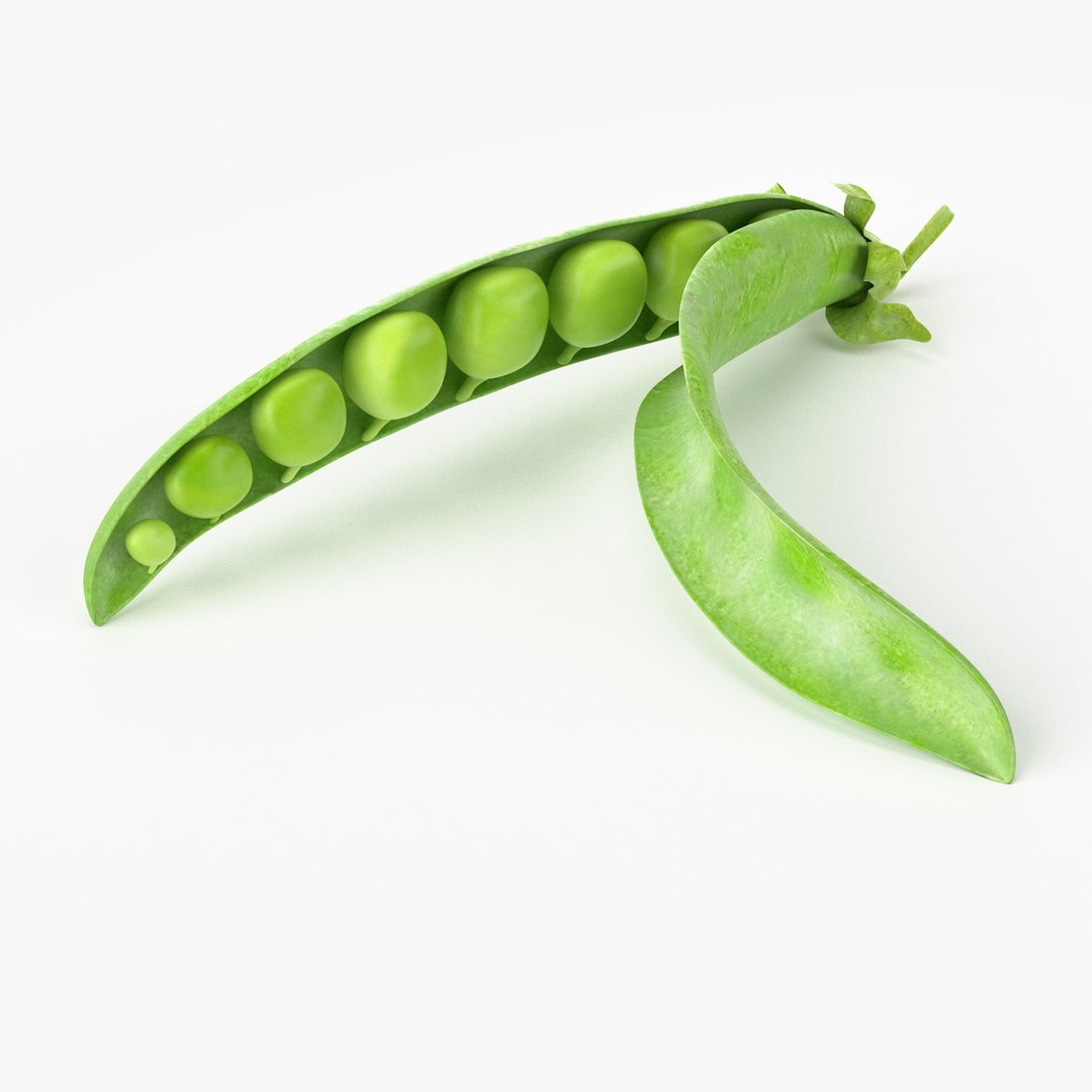 3d Realistic Peas Real Vegetables