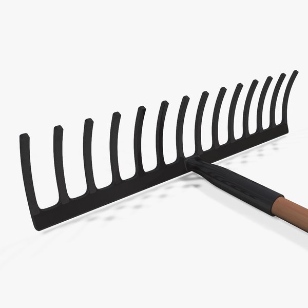 classic rake 3d max