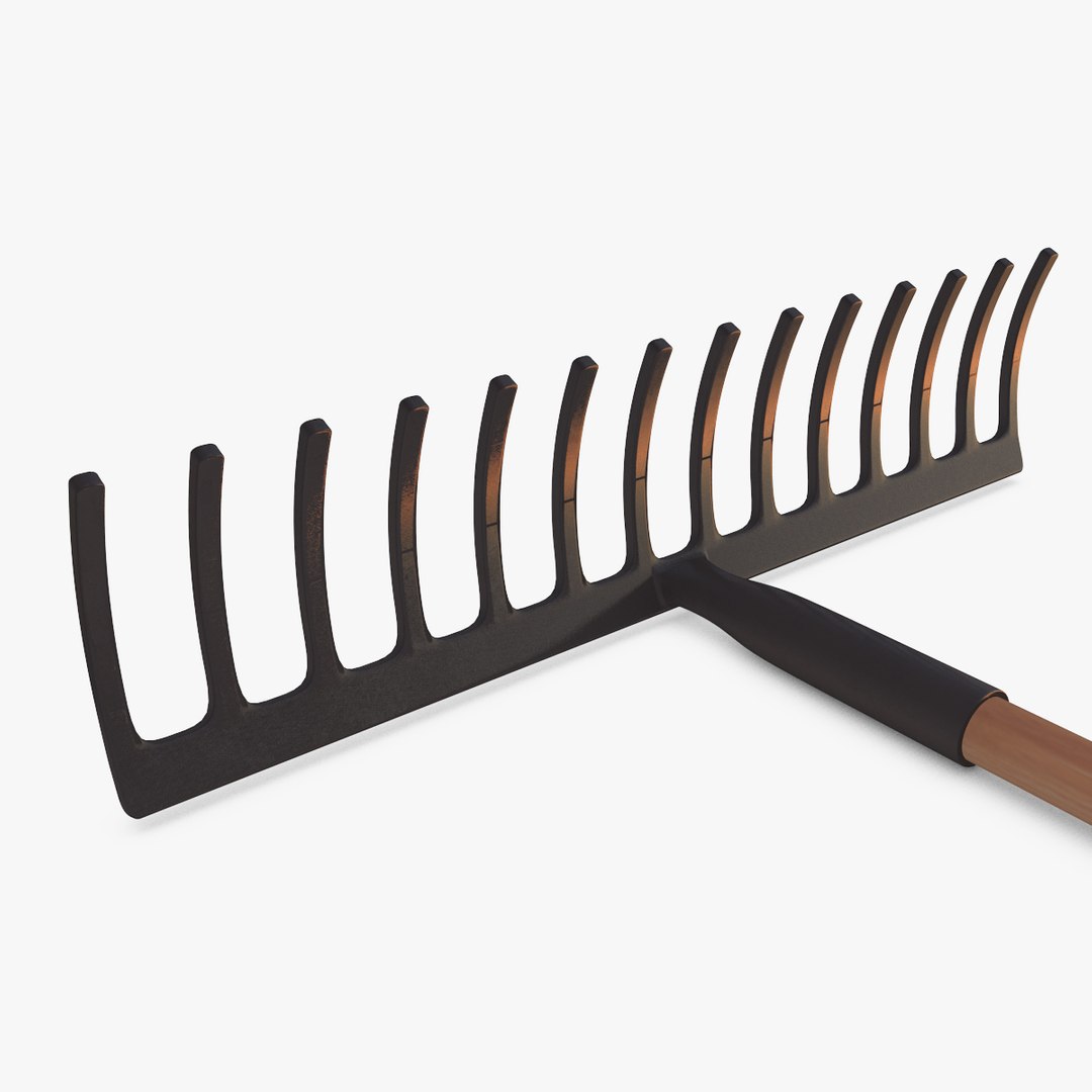 Classic Rake 3d Max