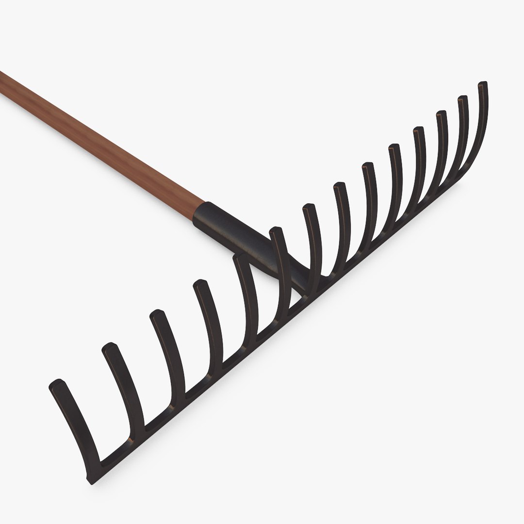 Classic Rake 3d Max