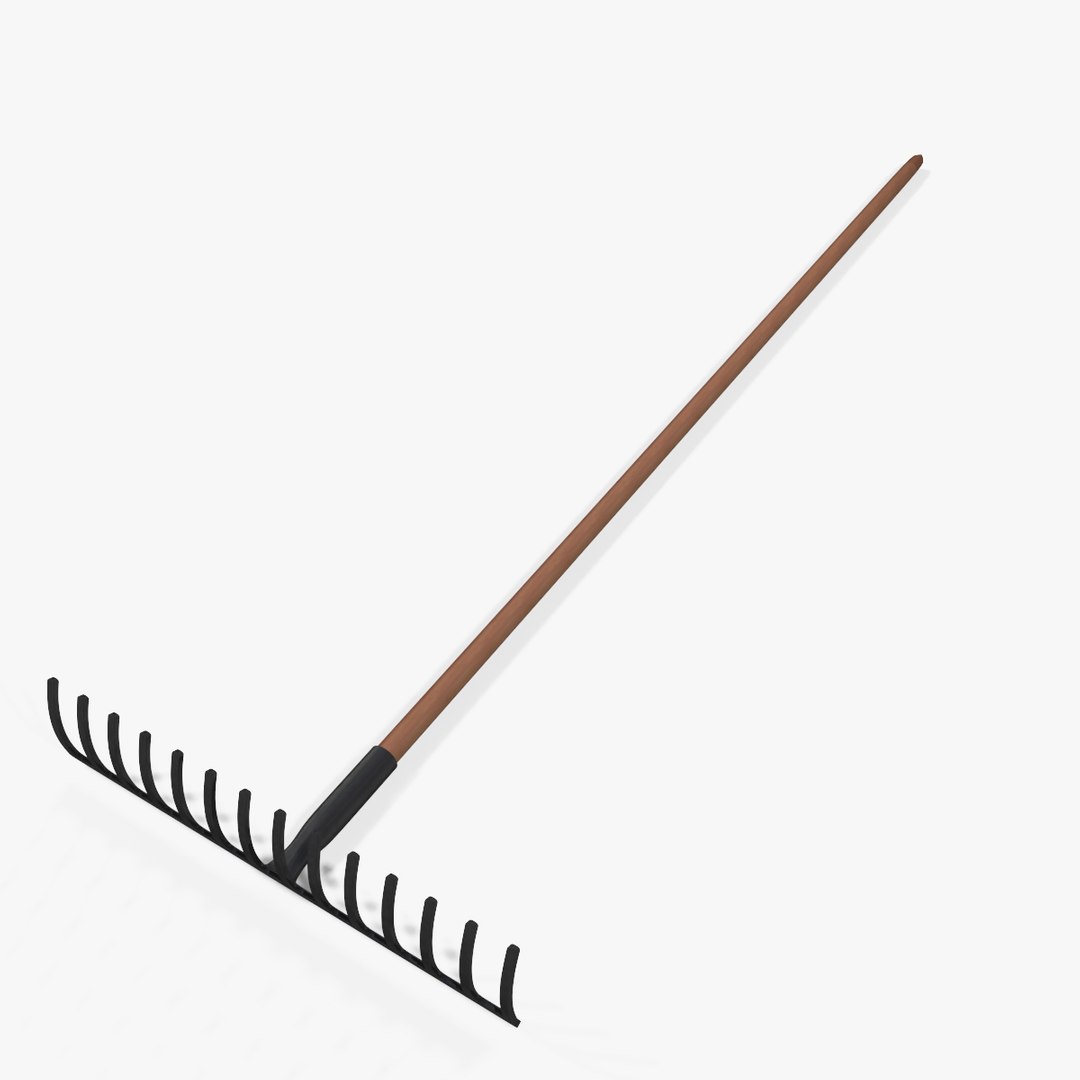 Classic Rake 3d Max