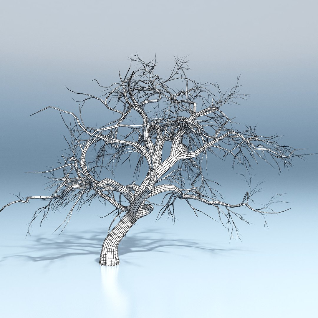 Japanese Maple Tree 3d Model