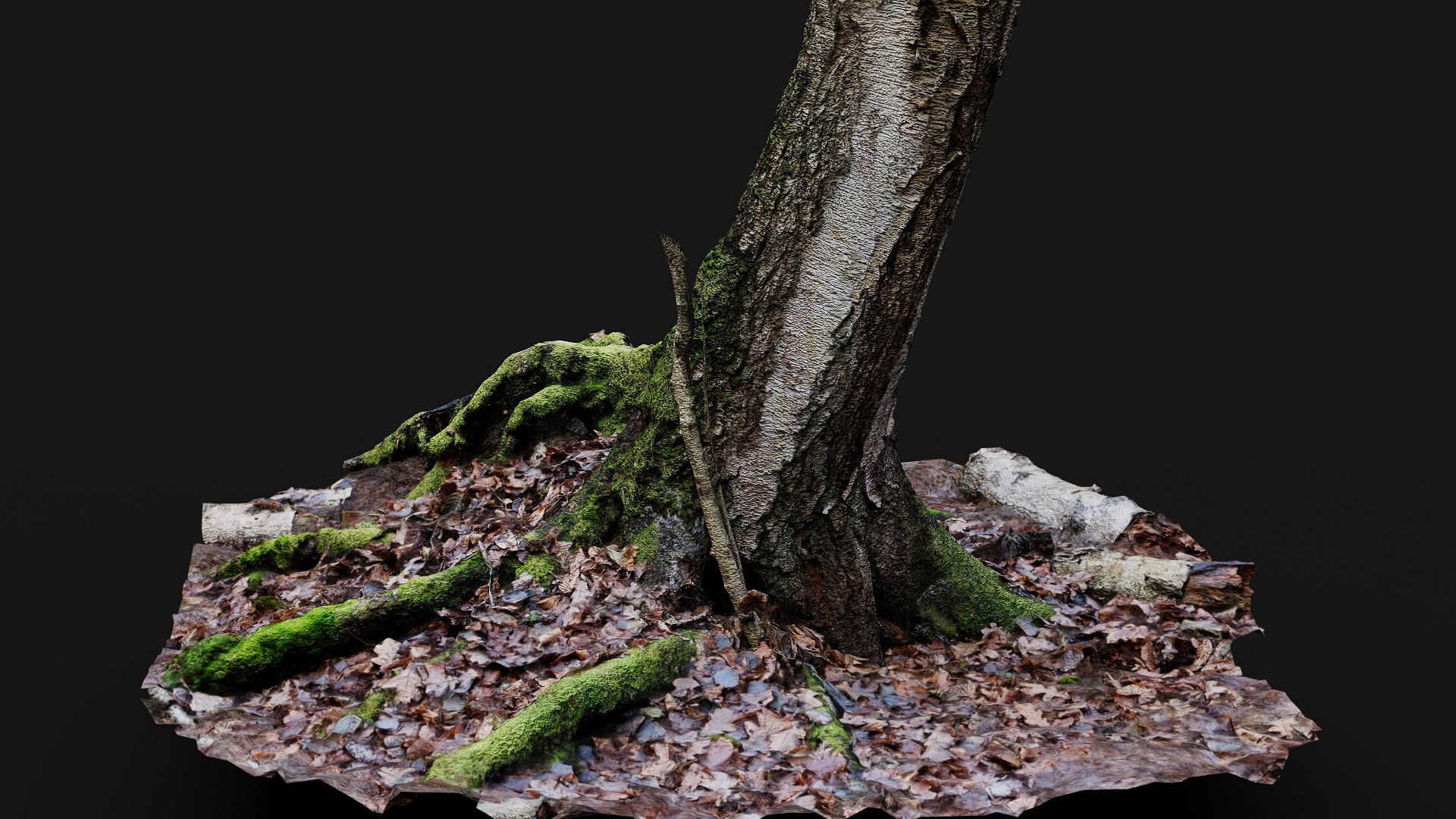Forest Ground Tree Mossy Roots Debris Pt7 Photogrammetry 3D Model ...