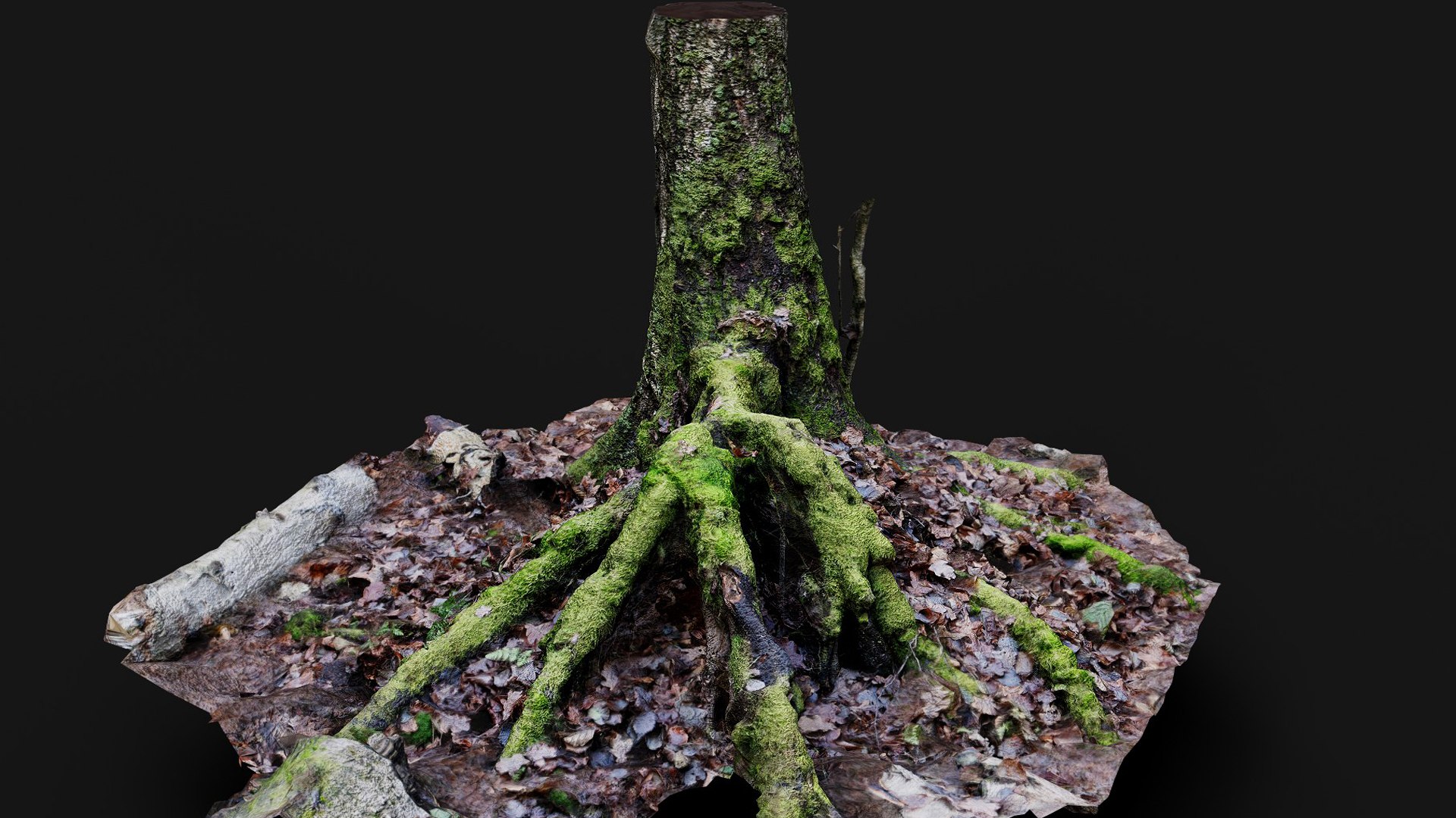 Forest Ground Tree Mossy Roots Debris Pt7 Photogrammetry 3D Model ...