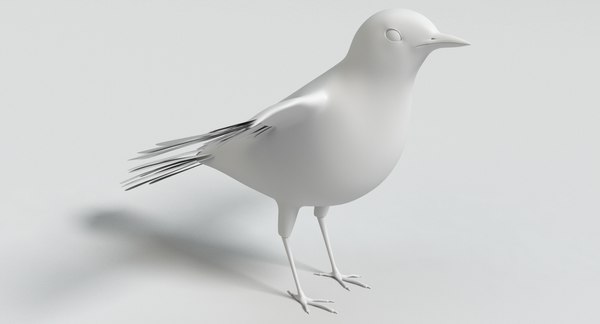3D american robin animations - TurboSquid 1295750