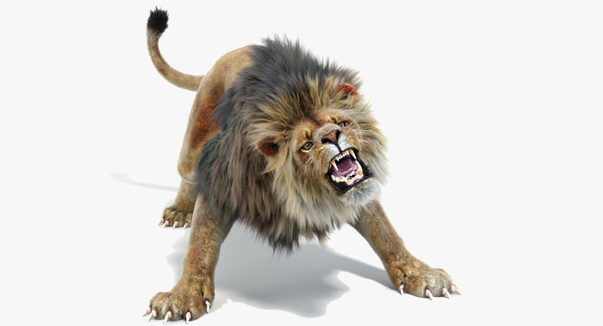 Lion 2 fur colors model - TurboSquid 1156859