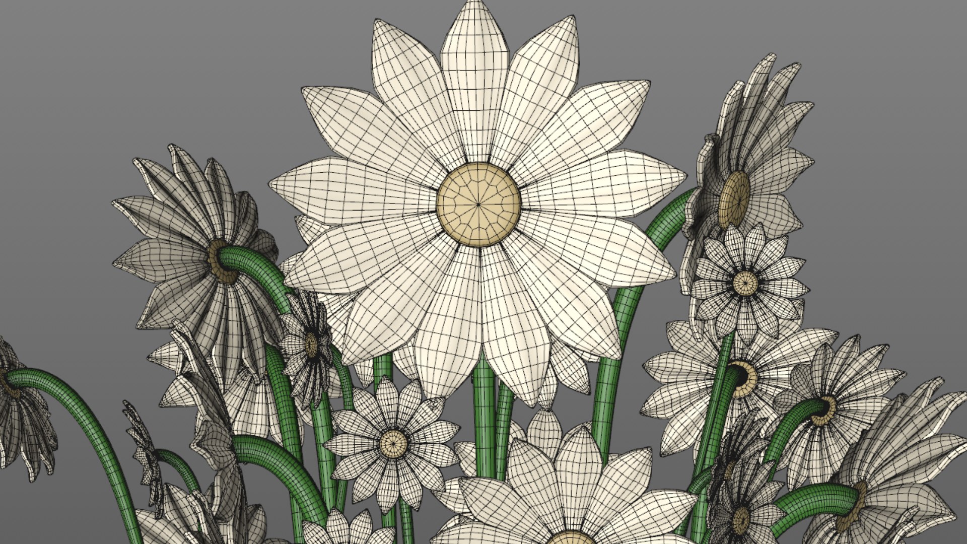 3D Cartoon Daisy - TurboSquid 1948337