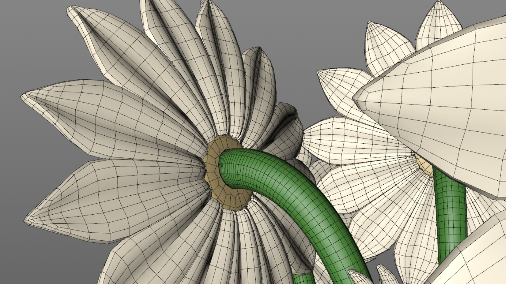 3D Cartoon Daisy - TurboSquid 1948337