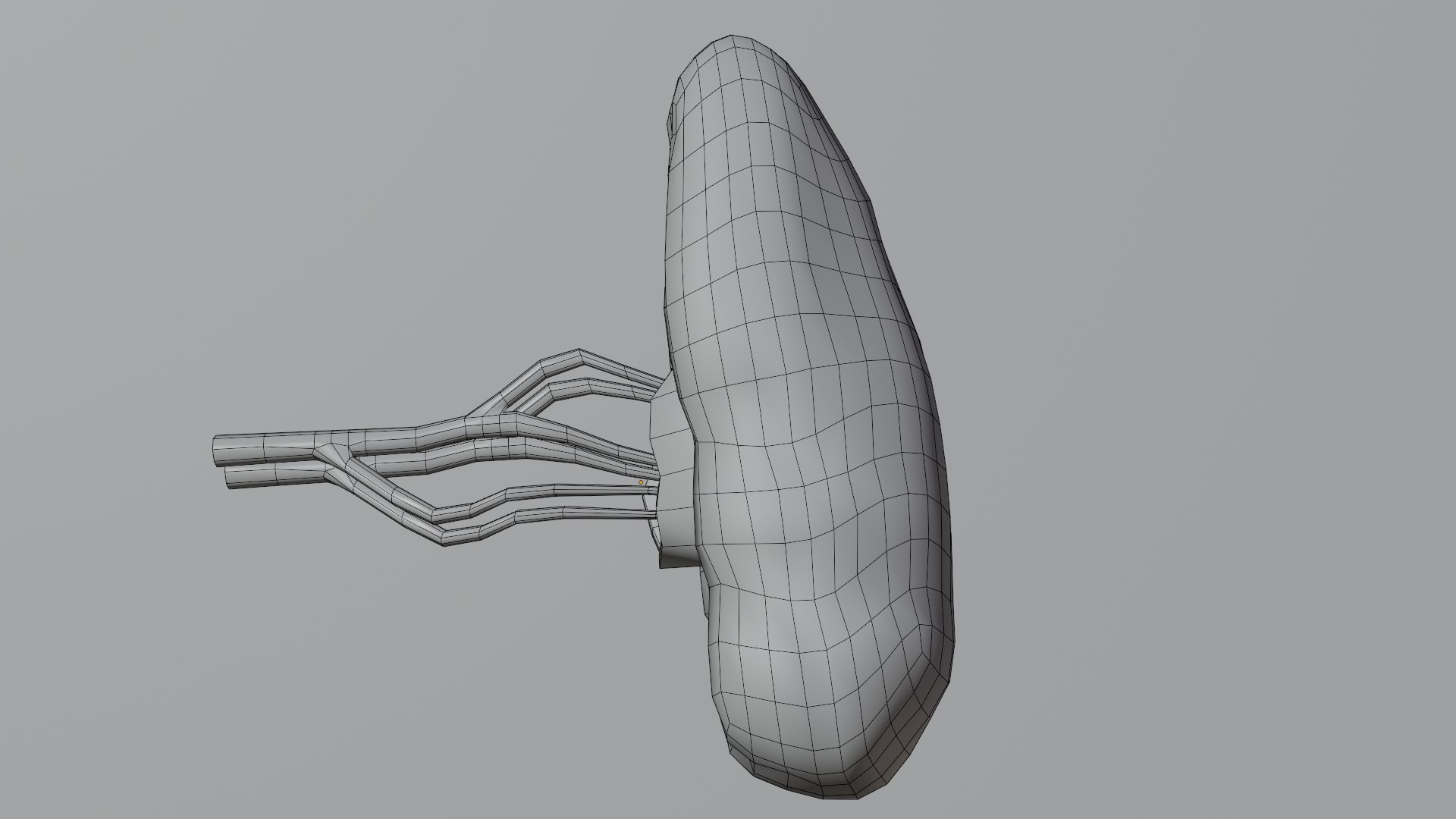 3D Spleen Model - TurboSquid 2108470