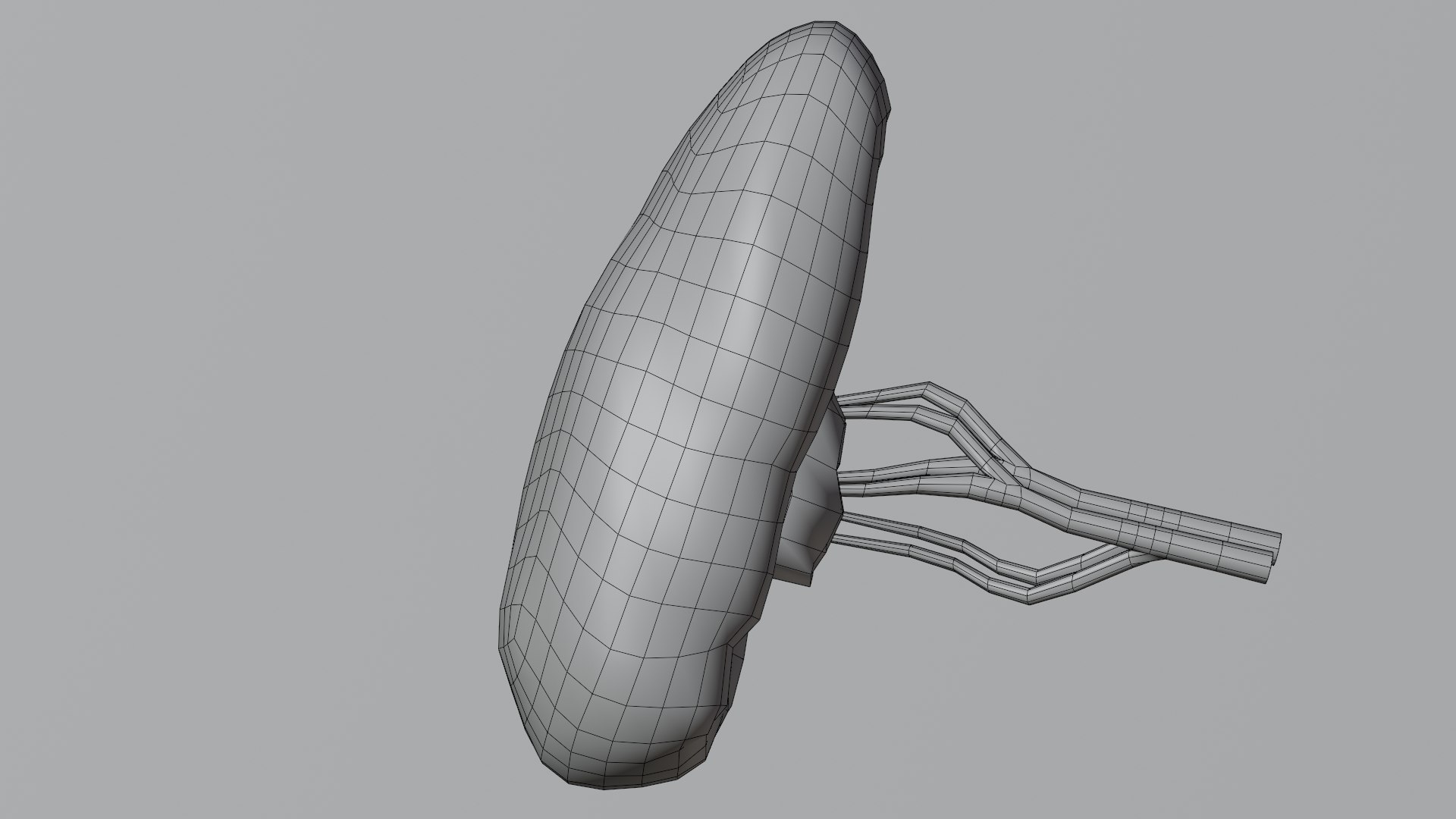 3D Spleen Model - TurboSquid 2108470