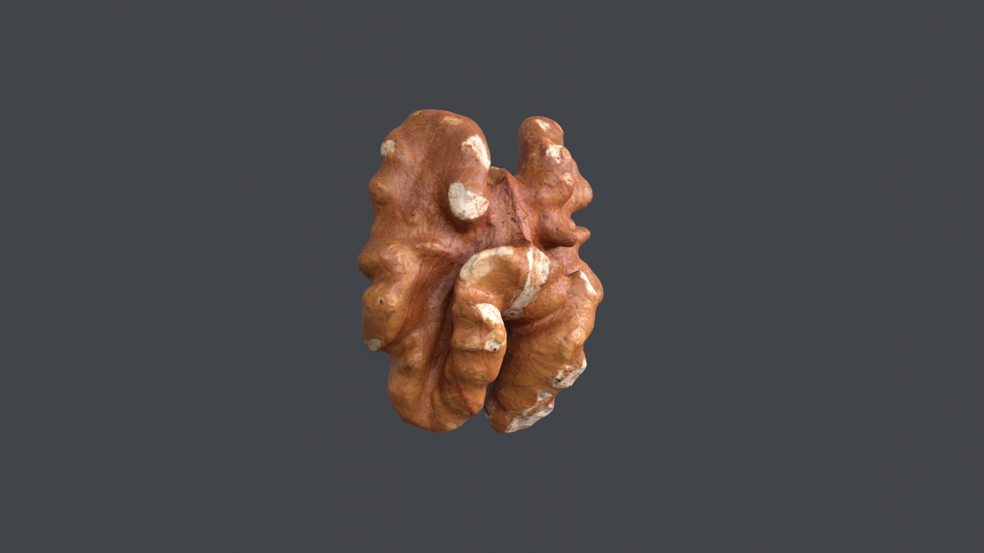 3D Walnut Kernels - TurboSquid 1641443