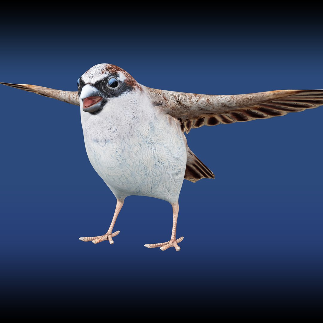Sparrow Rigged 3D - TurboSquid 1907382