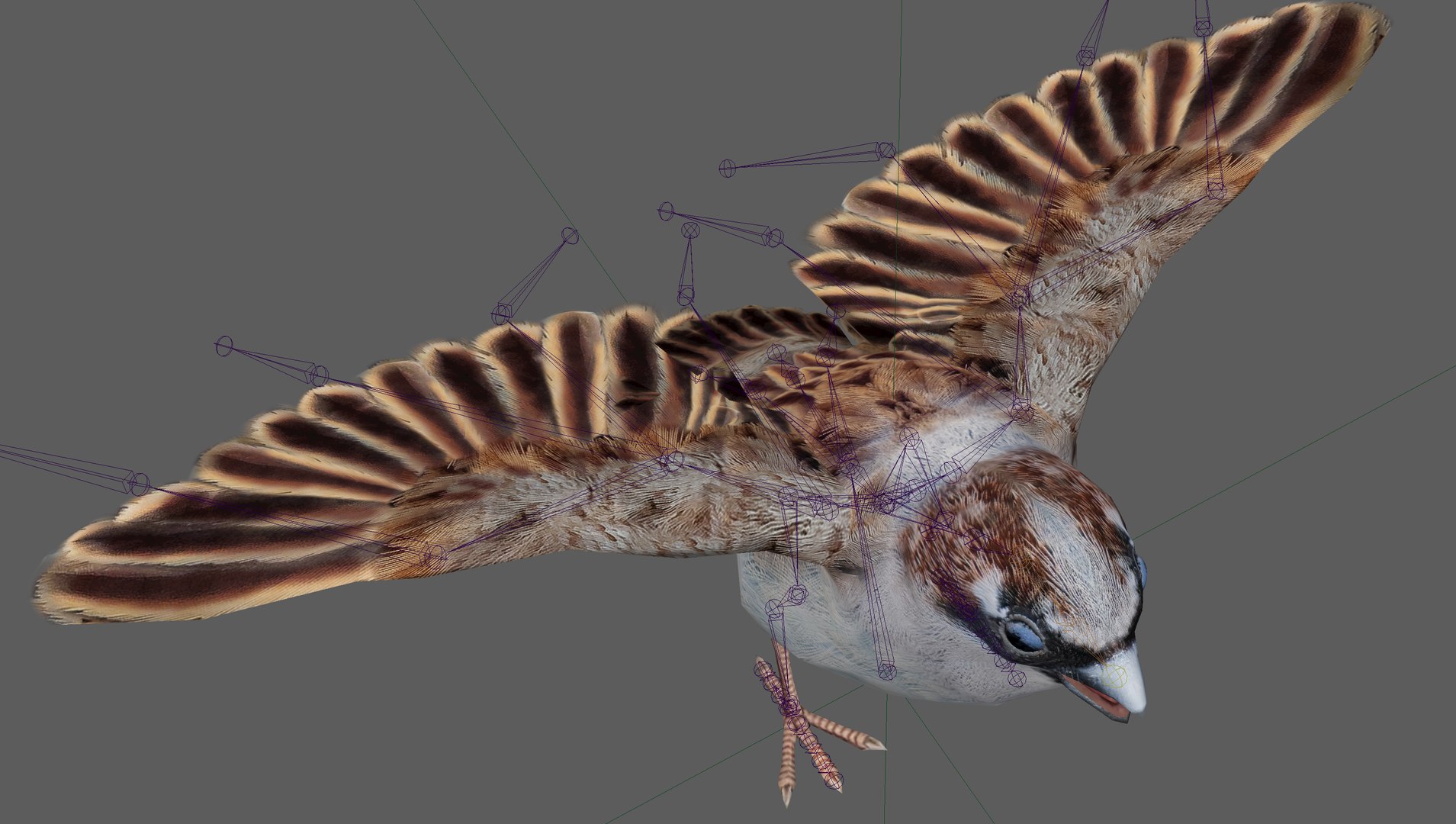 Sparrow Rigged 3D - TurboSquid 1907382