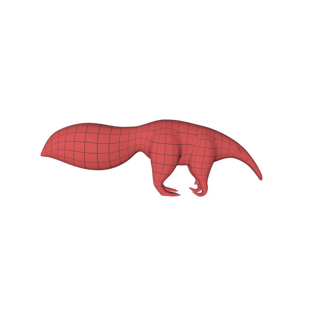 Base Mesh Anteater 3d Model