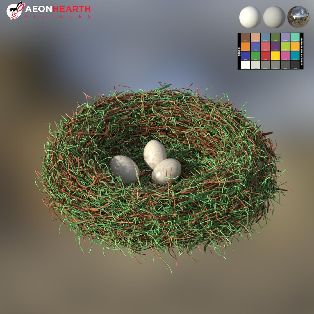 3D Bird Nest - TurboSquid 2034869