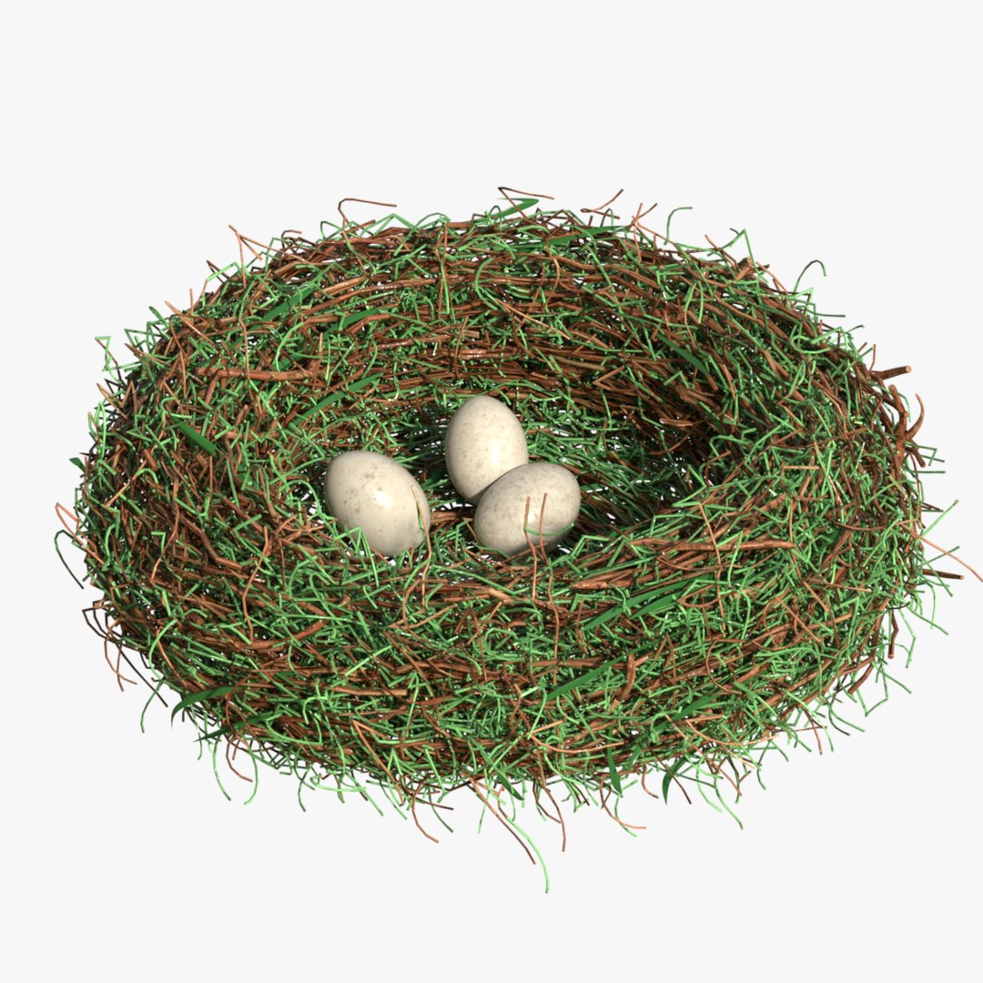 3D Bird Nest - TurboSquid 2034869