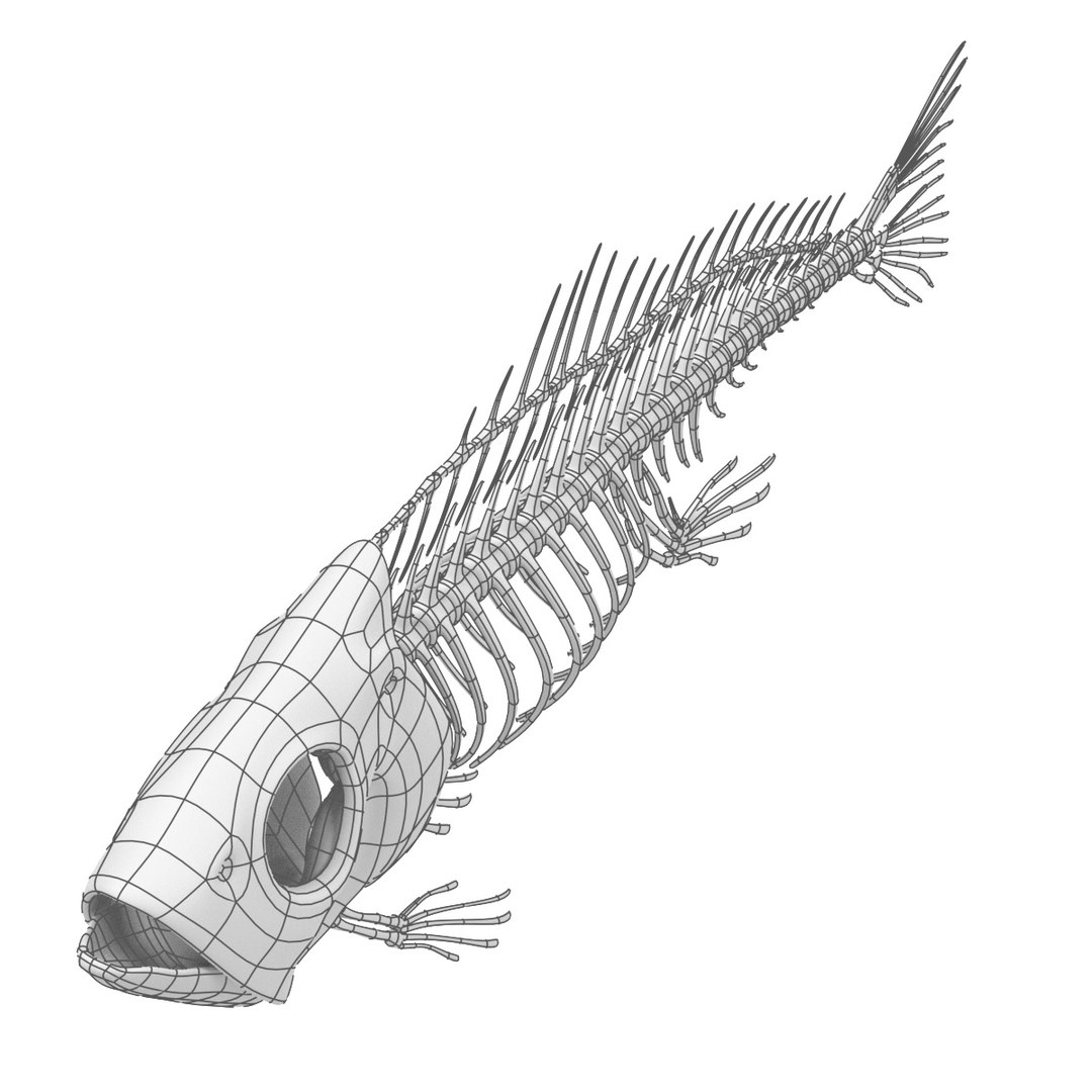 Fish Skeleton 3d Obj