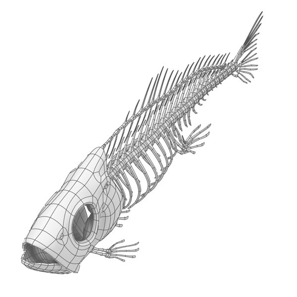 fish skeleton 3d obj