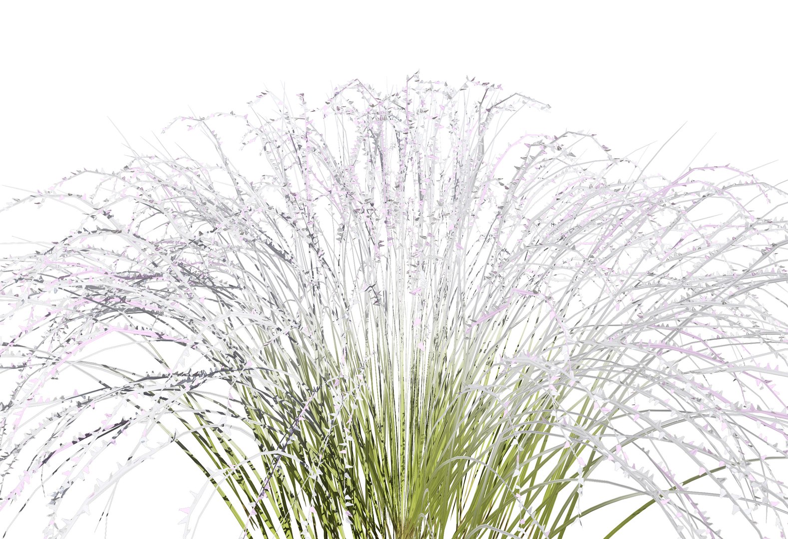 Eragrostis Spectabilis 3D Pack 3D Model - TurboSquid 2199967