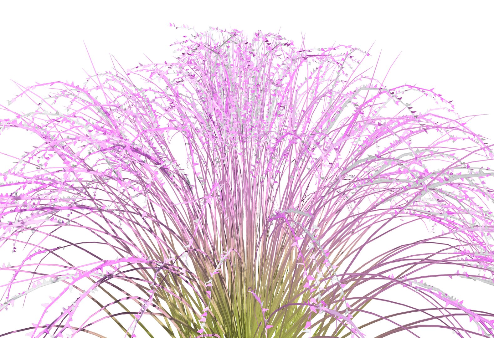 Eragrostis Spectabilis 3D Pack 3D Model - TurboSquid 2199967