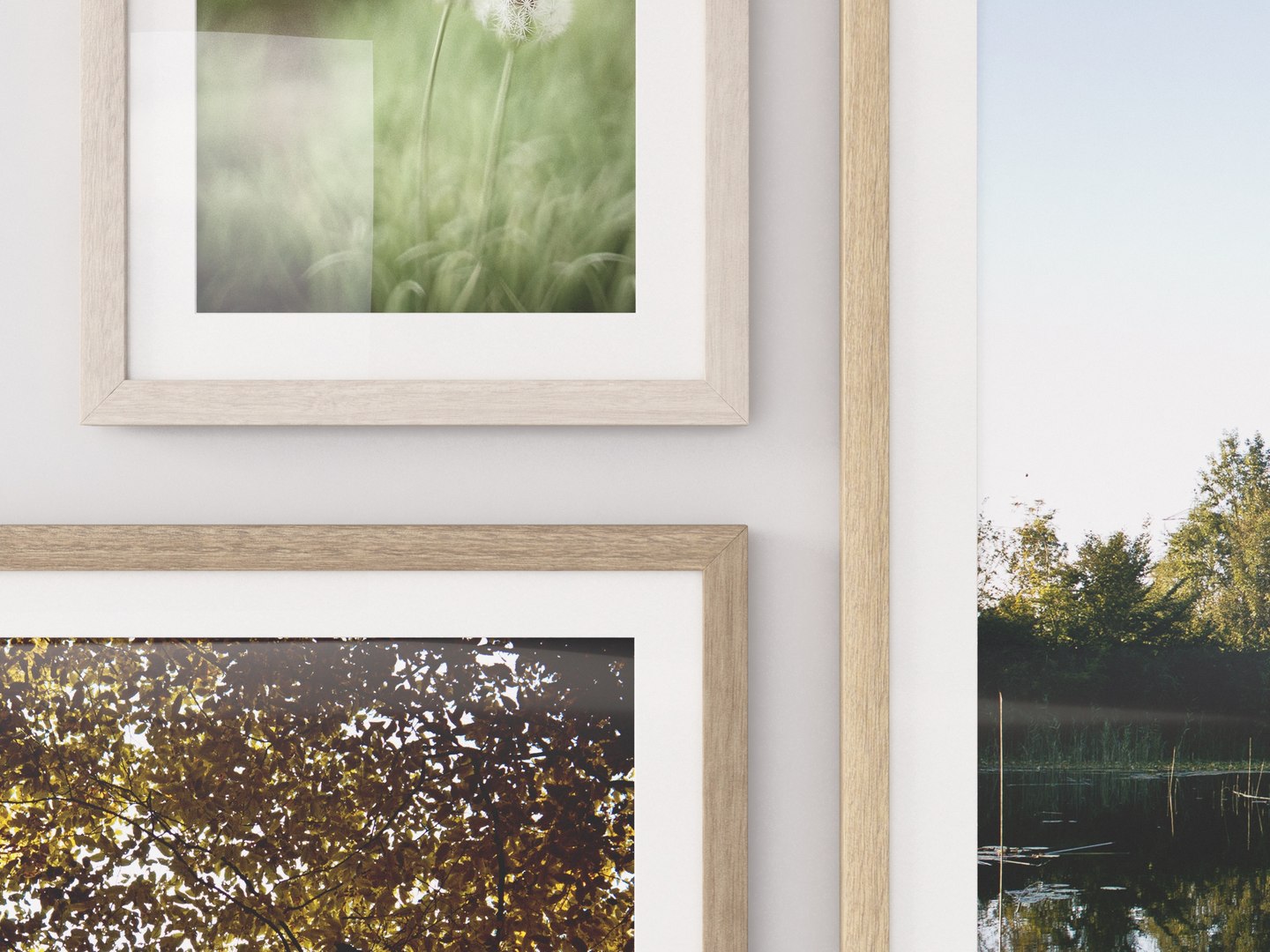 3D frames nature - TurboSquid 1461539