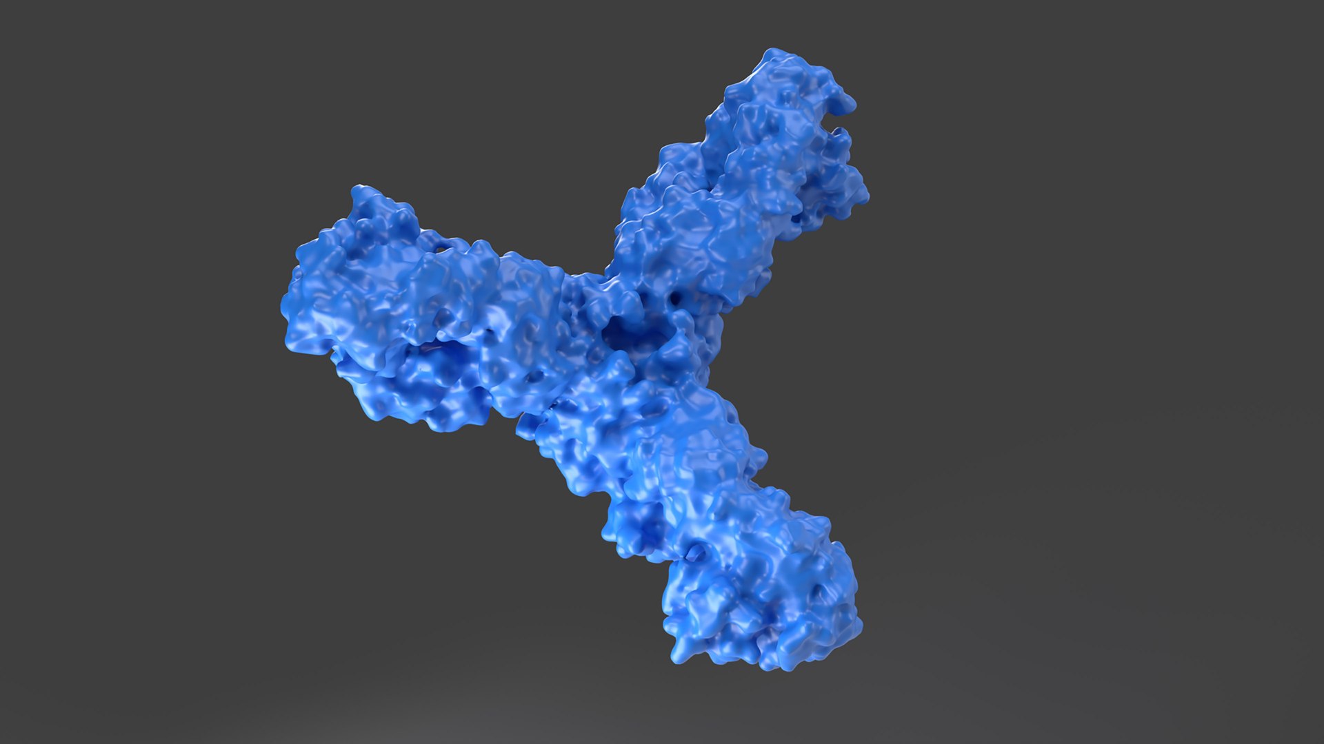 3D Antibody - TurboSquid 1873321