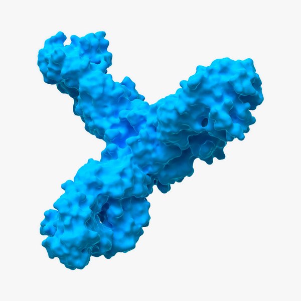 3D Antibody Models | TurboSquid