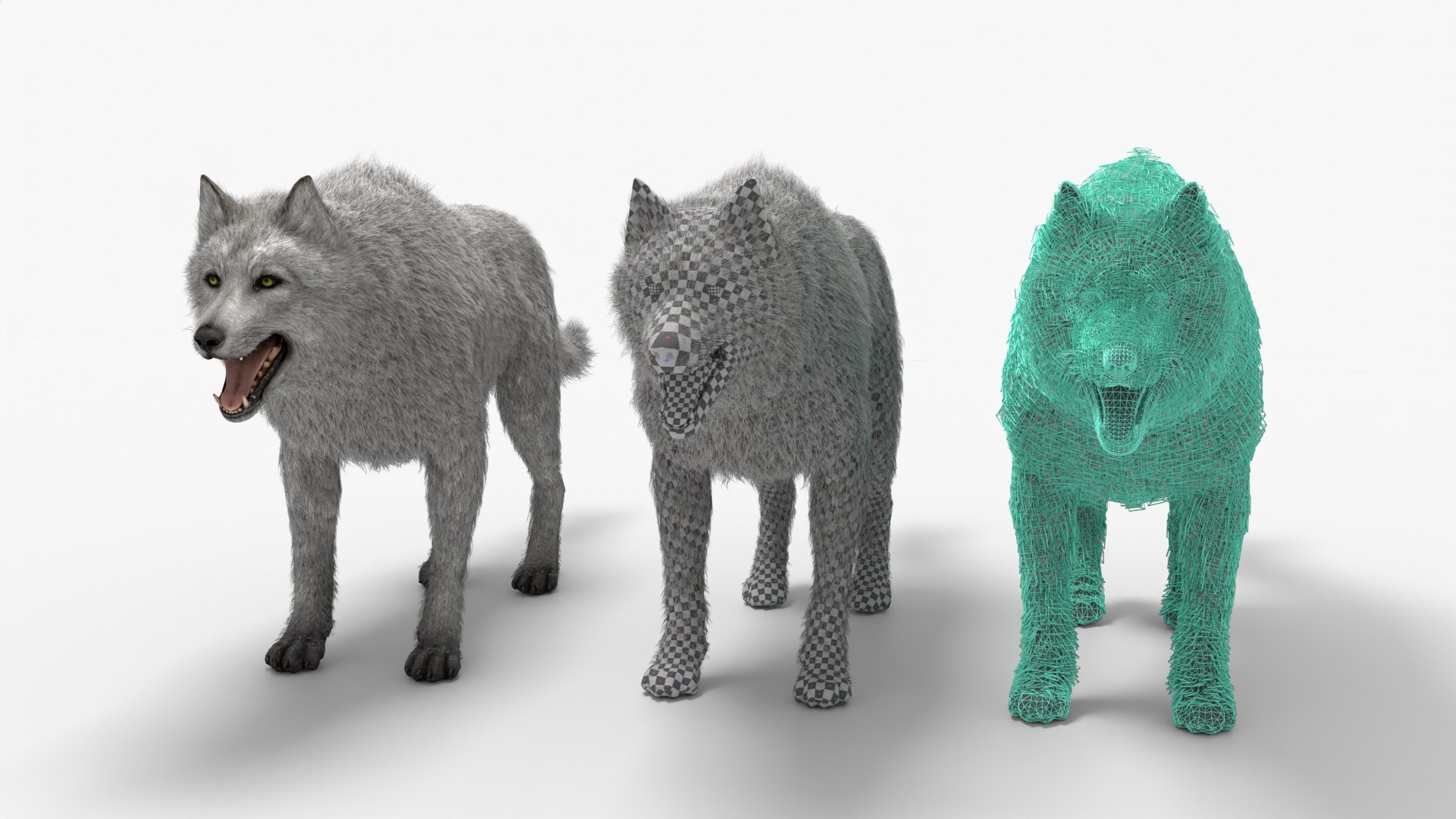 3D Wolf White Model - TurboSquid 2404970