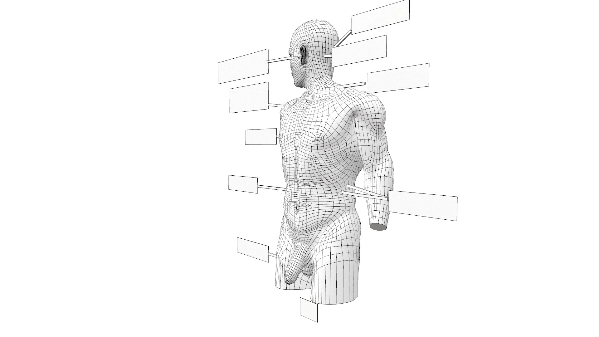 3D Male Body With Part Model - TurboSquid 2140393