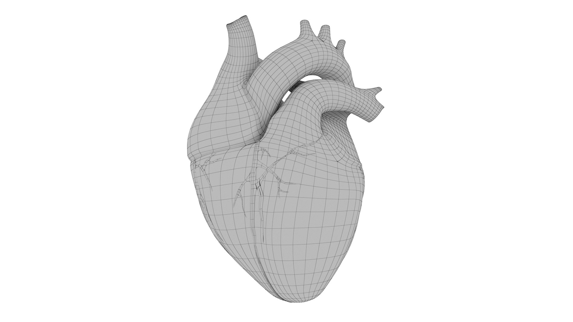 3D Model Heart - TurboSquid 2190913