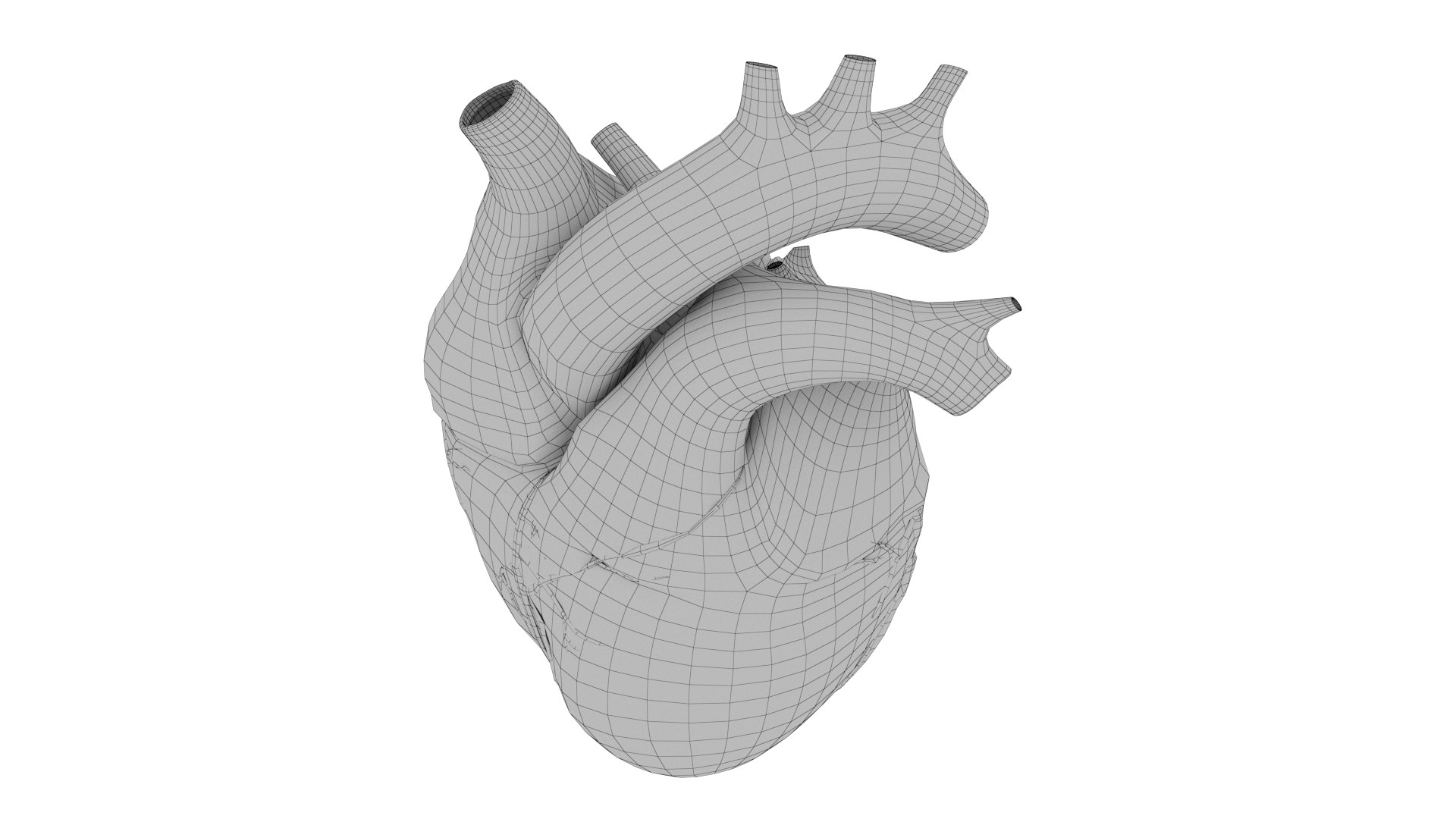 3D Model Heart - TurboSquid 2190913