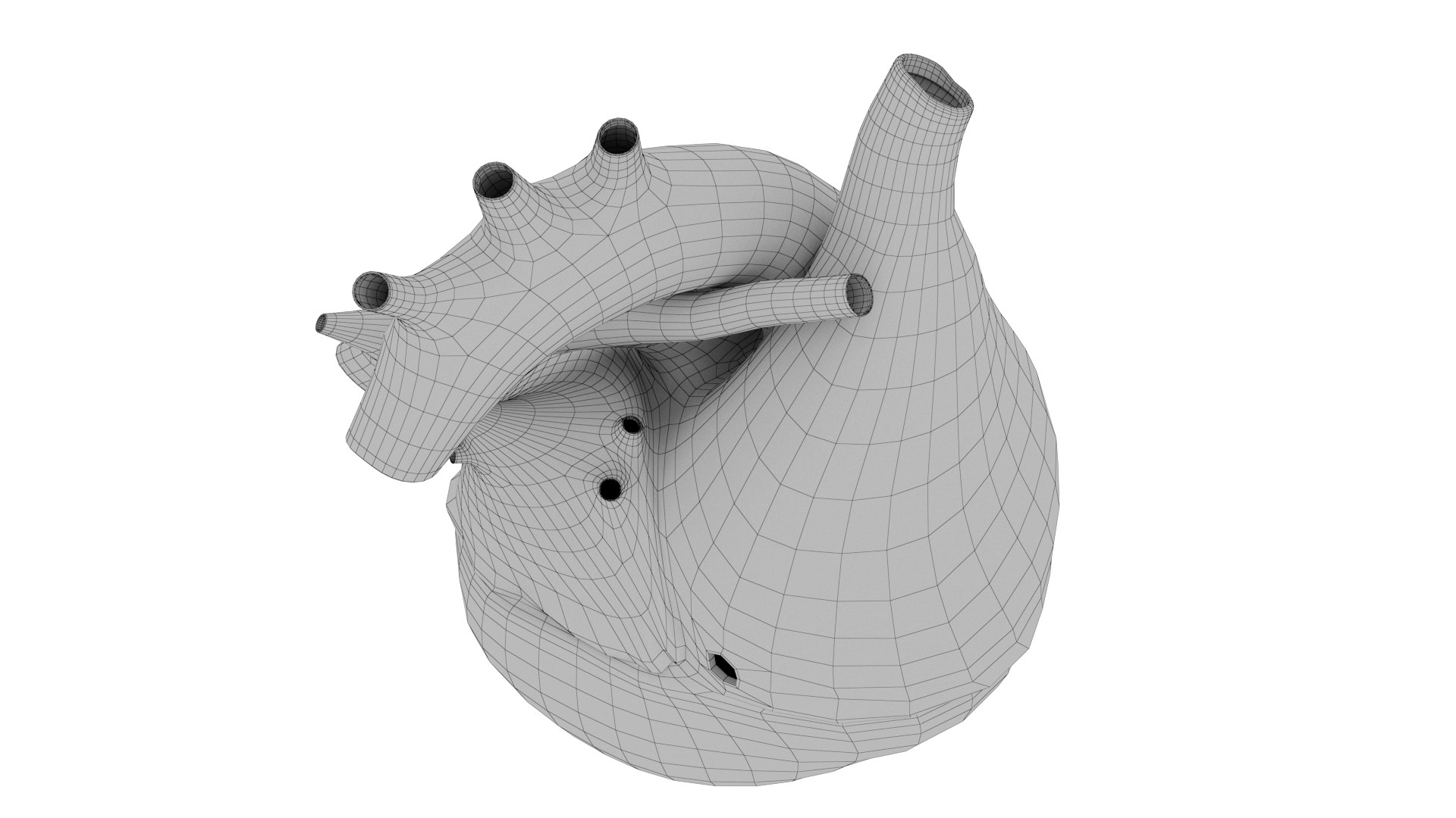 3D Model Heart - TurboSquid 2190913