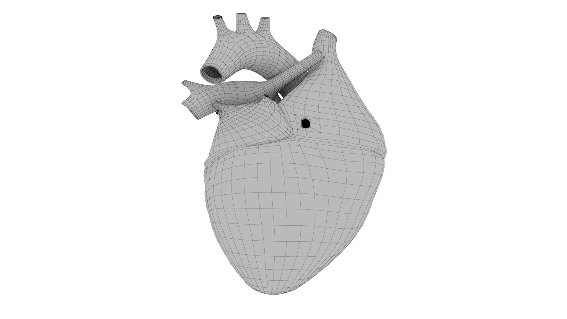 3D Model Heart - TurboSquid 2190913