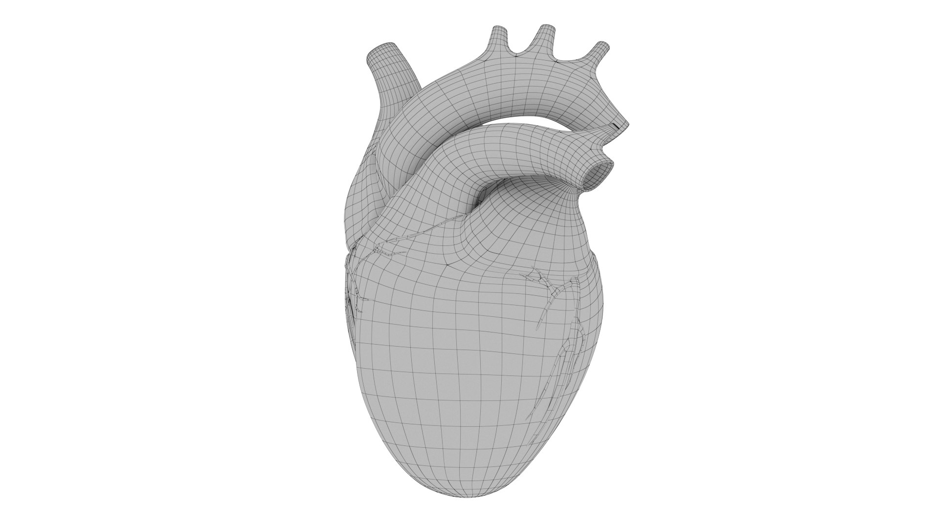 3D Model Heart - TurboSquid 2190913
