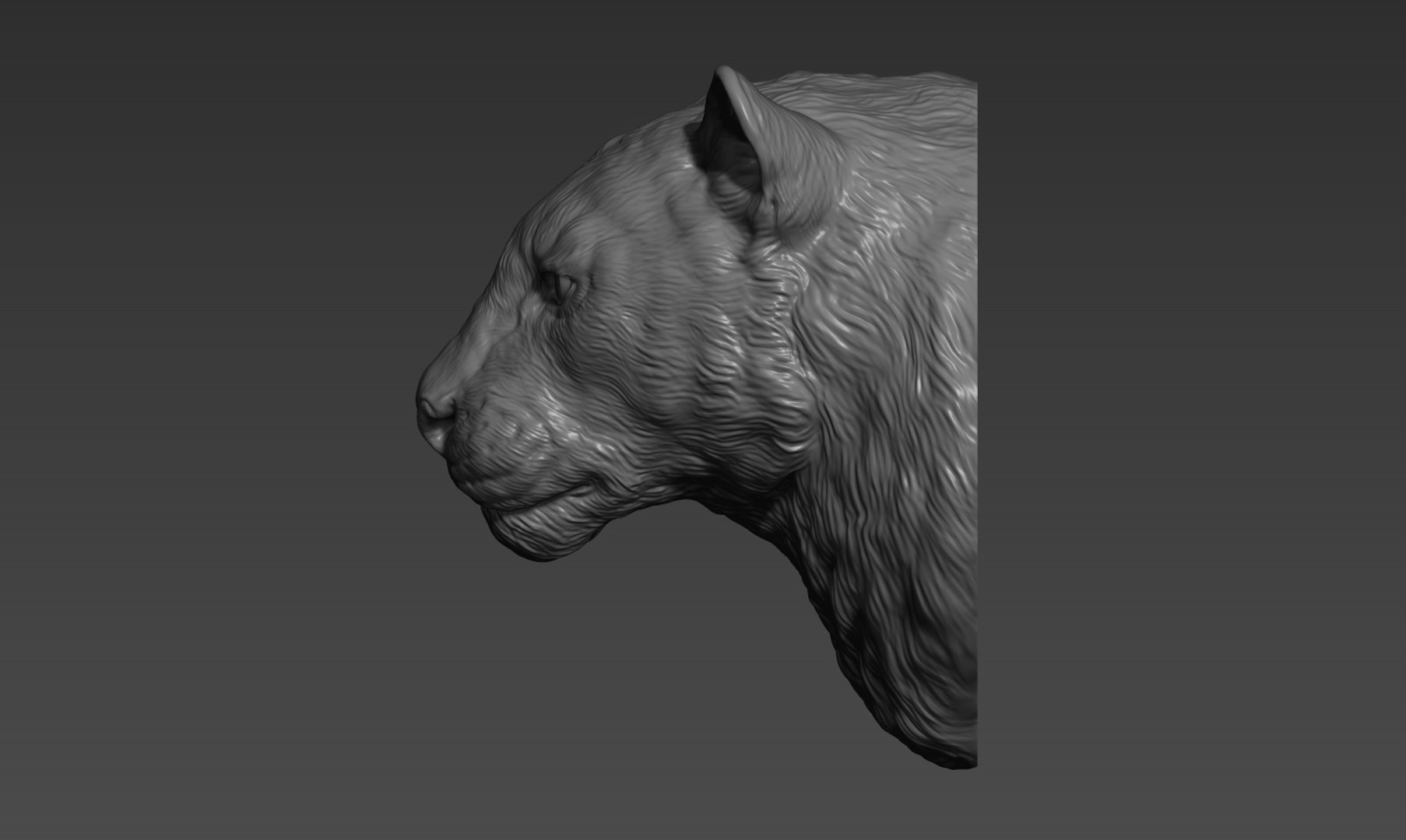 3D Panther Leopard Head Model - TurboSquid 1837937