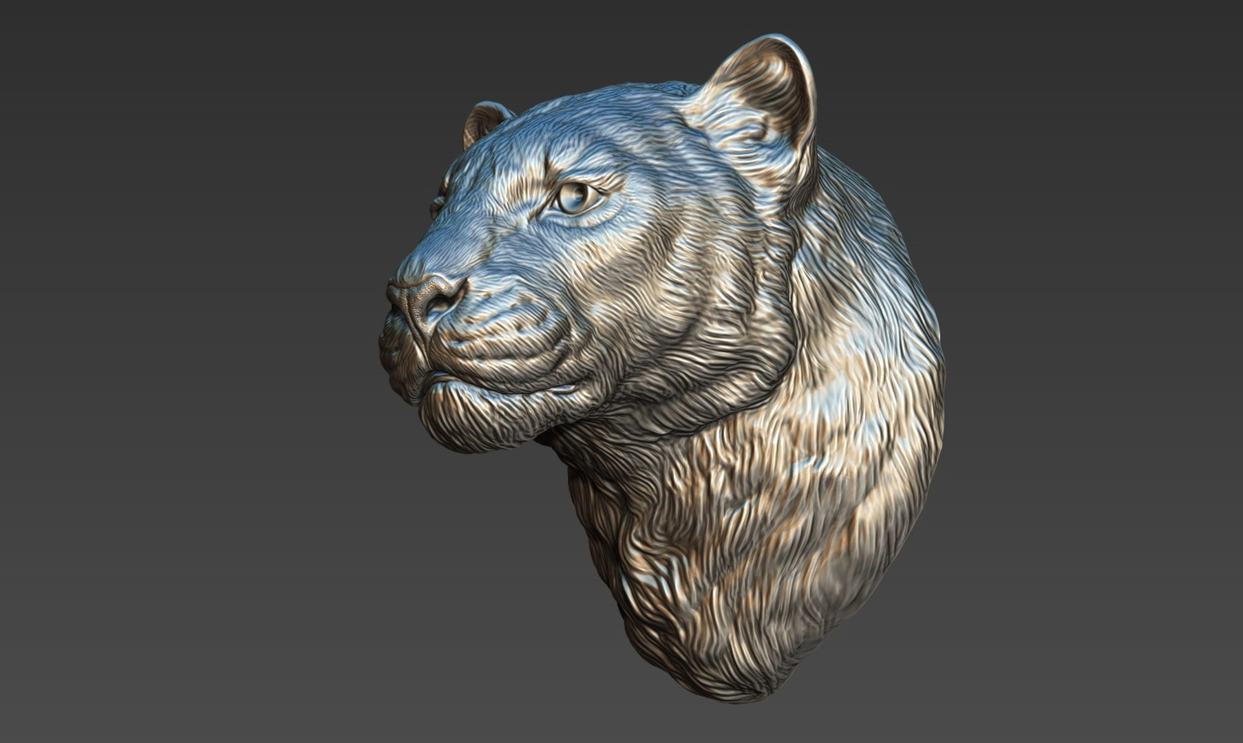 3D Panther Leopard Head Model - TurboSquid 1837937